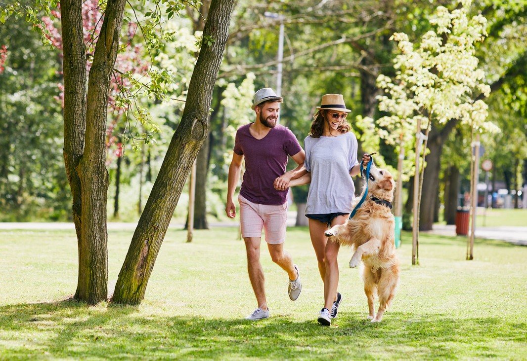 Attachement et relation chien/humain | Centre du Bien-Être Animal ...