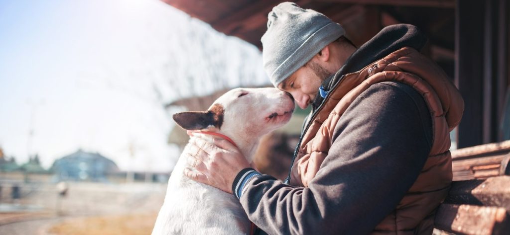 Attachement et relation chien/humain | Centre du Bien-Être Animal ...